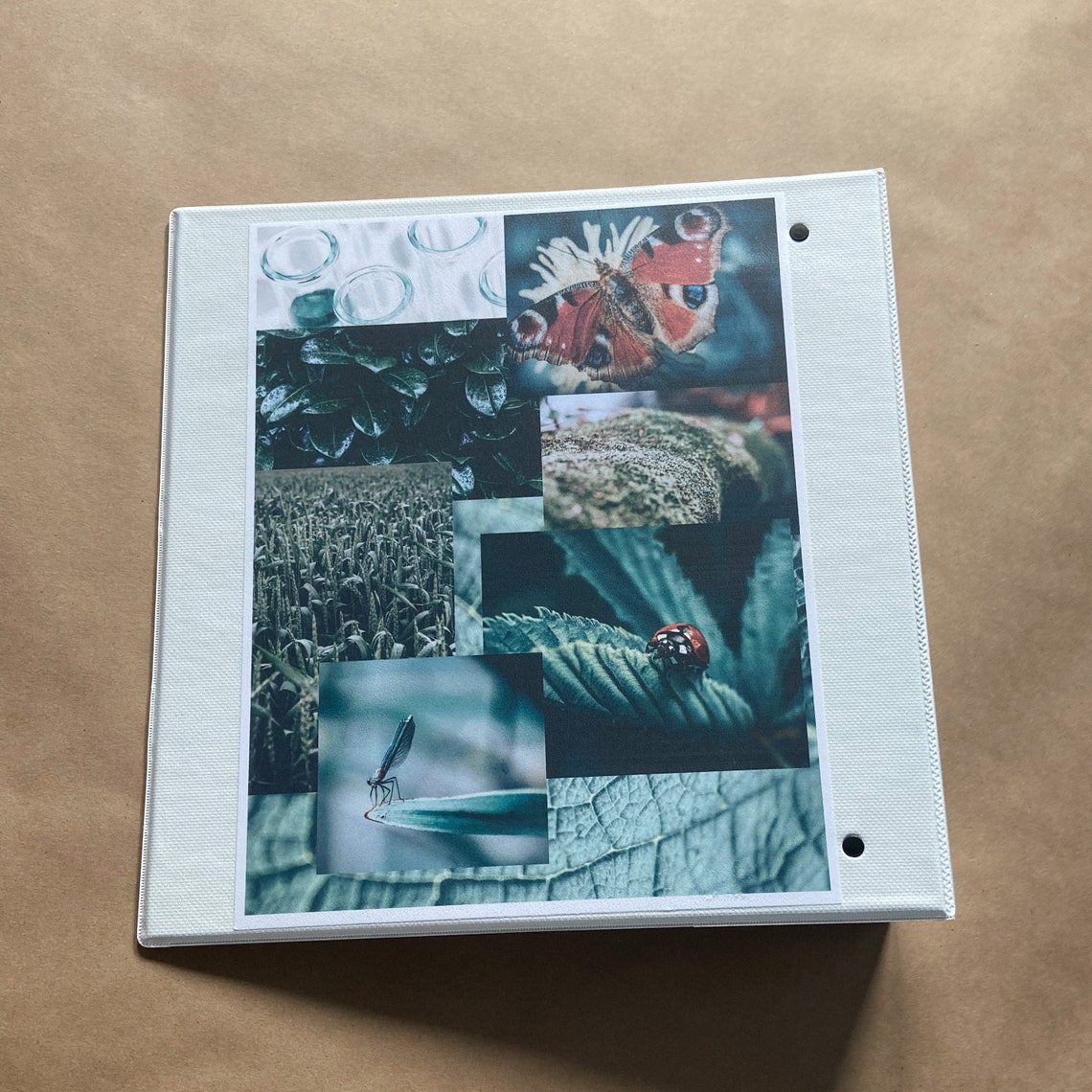 Biology Collage Binder Cover | Aesthetic School Supplies - Etsy