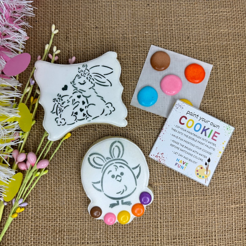 Paint Your Own Cookie - Etsy