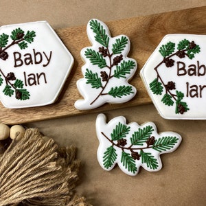 Adventure Awaits Baby Shower Cookie, Decorated Cookies, Baby Gift ...