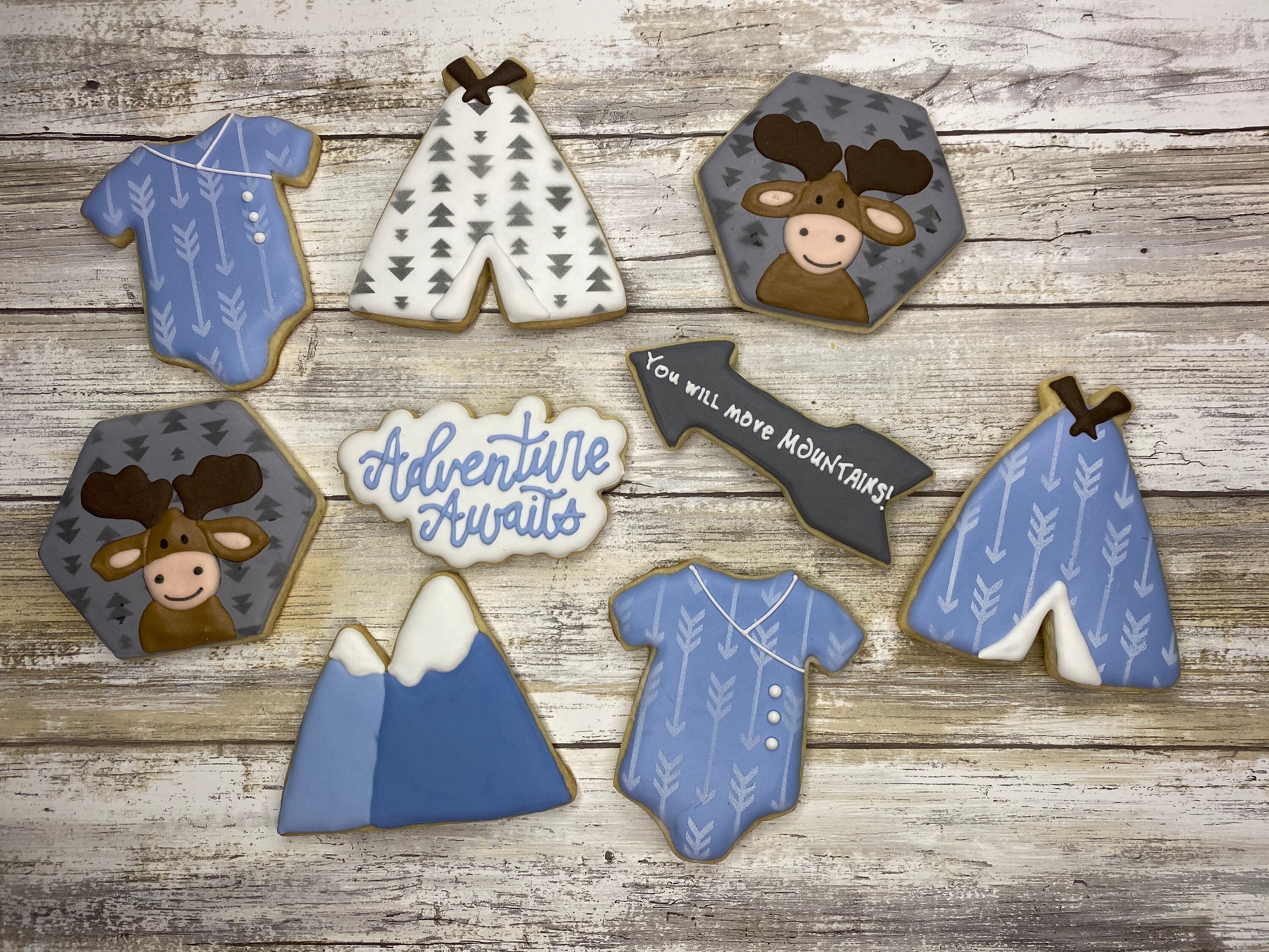 Adventure Awaits Baby Shower Cookies: Woodland Animals Party Favors ...