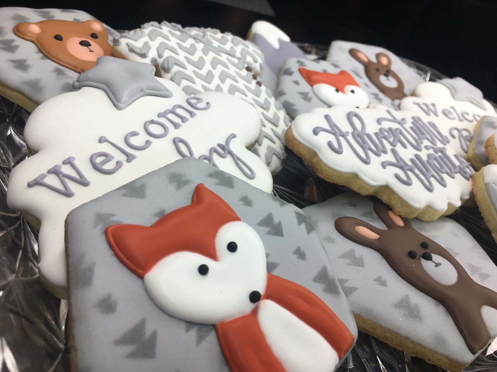 Adventure Awaits Baby Shower Cookies: Woodland Animals Party Favors ...