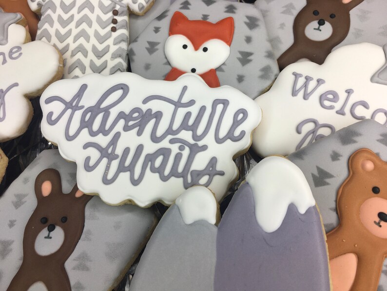 Adventure Awaits Baby Shower Cookies: Woodland Animals Party Favors ...