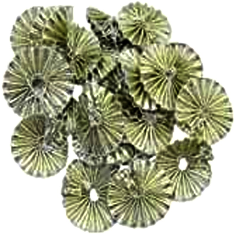 7 Color Chakri Gota Patti Phool, Gota Pati Flowers for Lehenga, Gota ...