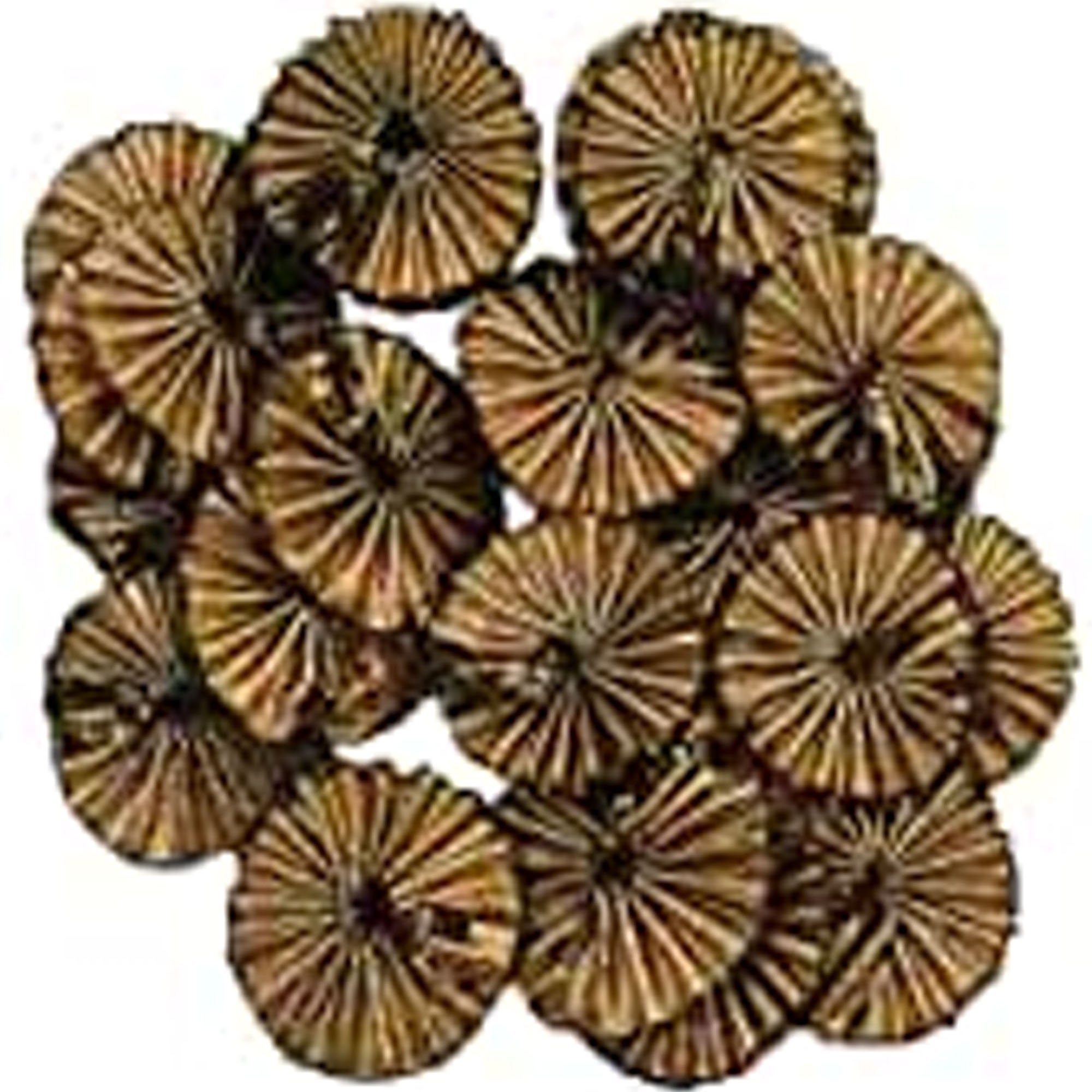 9 Color Chakri Gota Patti Phool, Gota Pati Flowers for Lehenga, Gota ...