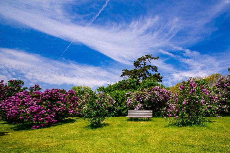 Highland Park Lilac Garden-rochester NY US0220 - Etsy