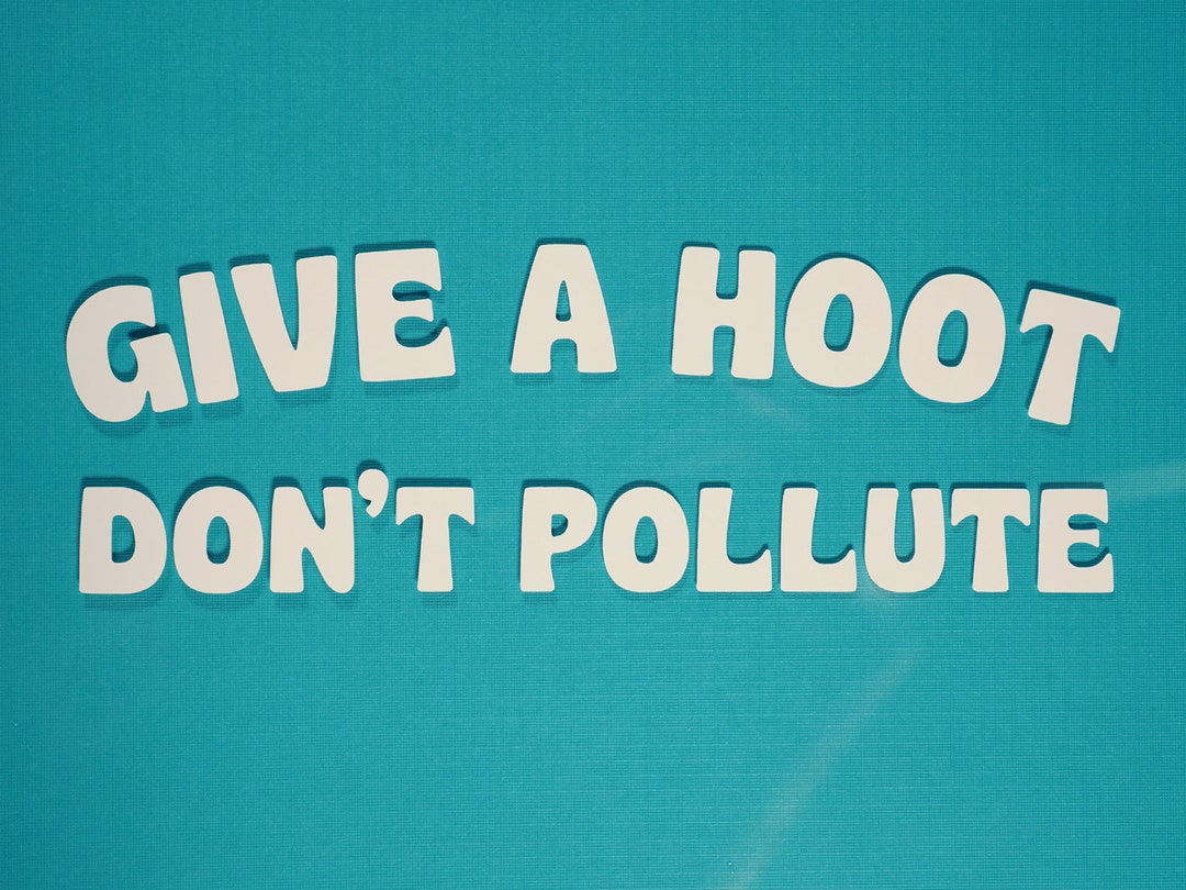 Give A Hoot Don't Pollute Vinyl Car Sticker, Permanent Decal Laptop ...
