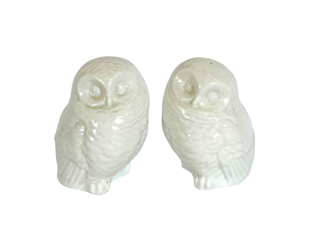 Vintage POOLE england Porcelain Tawny OWL Salt and Pepper SHAKERS / 3-1 ...