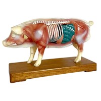 PRINTABLE Cow Skeletal Anatomy Worksheet and Practice Sheet - Etsy UK