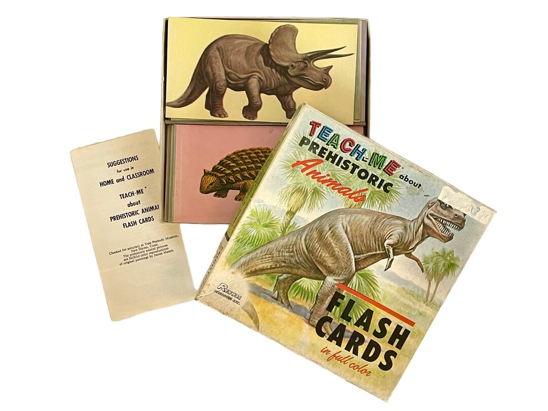 Vintage 1960s Prehistoric ANIMAL FLASH CARDS / Complete Set / "teach Me ...