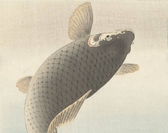 Japanese Carp Print - Etsy