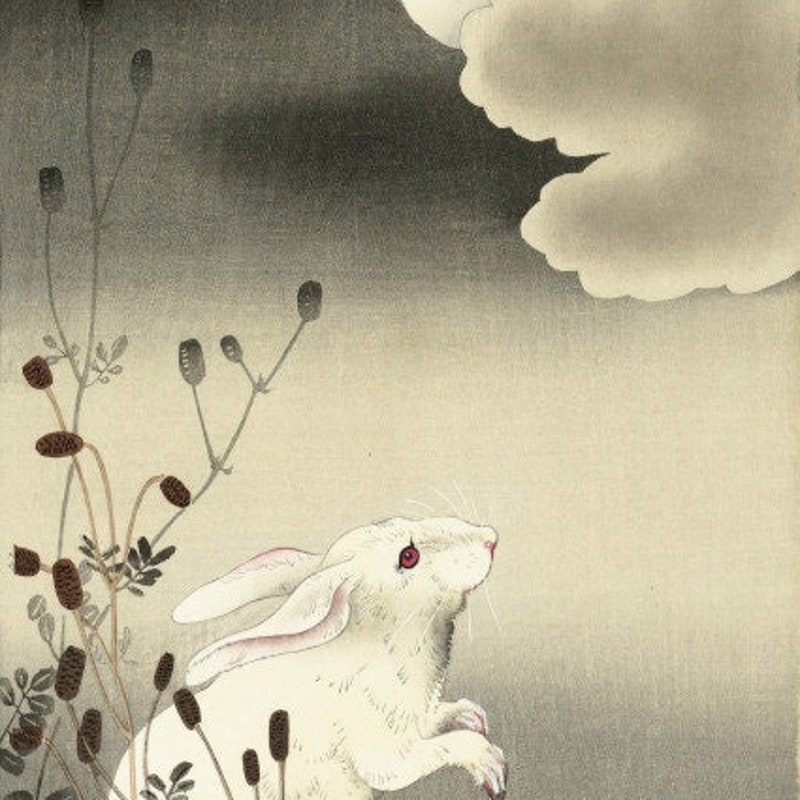 Rabbit in the Moon - Etsy