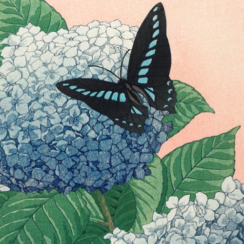 Japanese Art Print hydrangeas by Inuzuka Taisui | Etsy