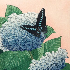 Japanese Art Print "hydrangeas" by Inuzuka Taisui, Woodblock, Giclée ...
