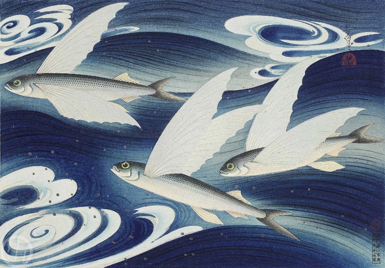 Japanese Art Print "flying Fish" by Ono Bakufu, Woodblock, Giclée ...