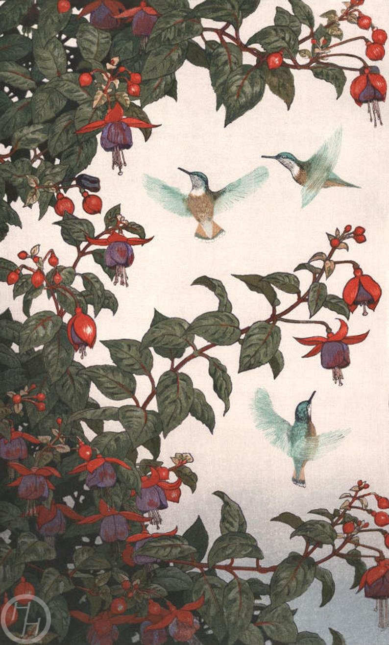 Japanese Art Print "humming Bird and Fuchsia" by Yoshida Toshi ...