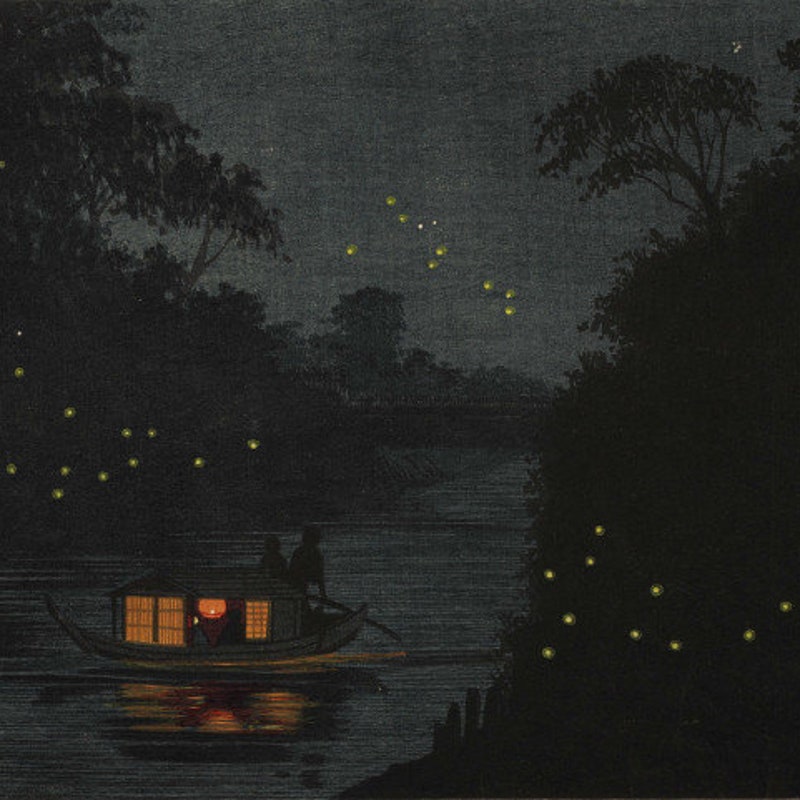 Firefly Artwork - Etsy