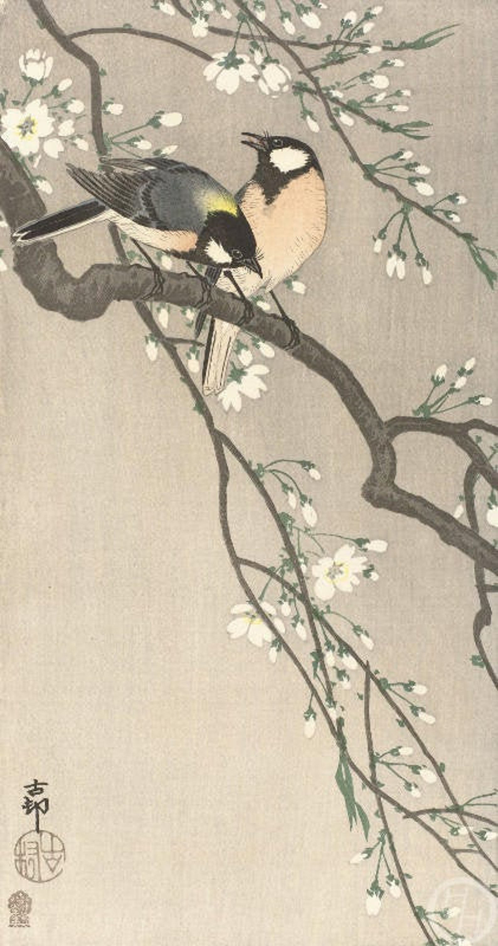 Japanese Art Print chickadees on Cherry Branch by - Etsy