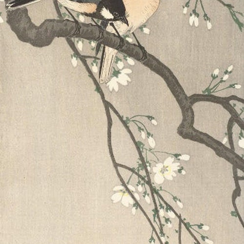 Japanese Art Print chickadees on Cherry Branch by - Etsy