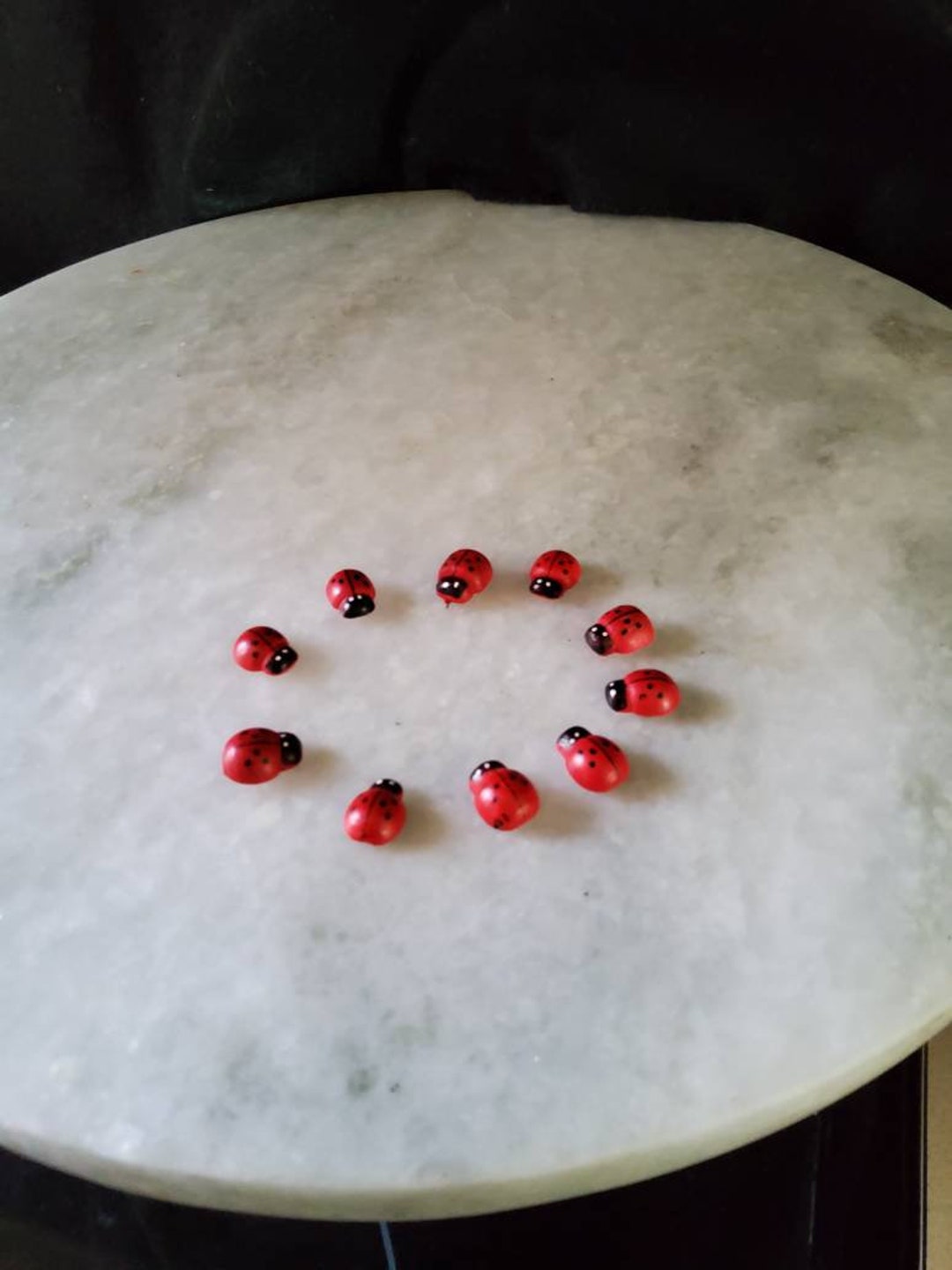 10 Mini Ladybugs! #miniatures #mini Ladybugs #woodladybug # ...