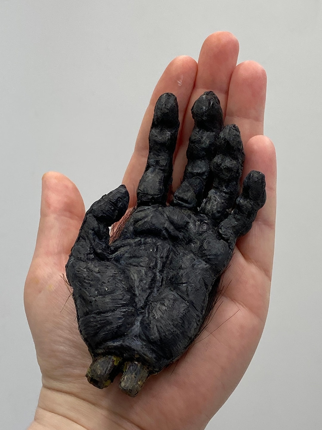 Cursed Monkey Paw Replica Sculpture All Three Wishes Intact / Dark Art ...