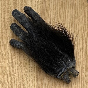 Cursed Monkey Paw Replica Sculpture All Three Wishes Intact / Dark Art ...