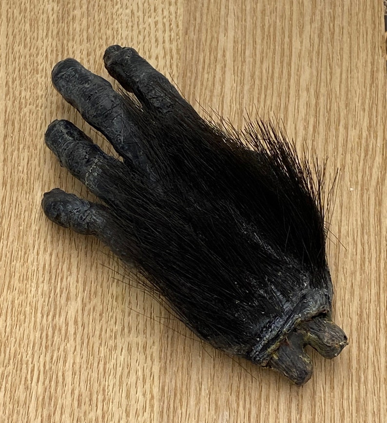 Cursed Monkey Paw Replica Sculpture All Three Wishes Intact / - Etsy