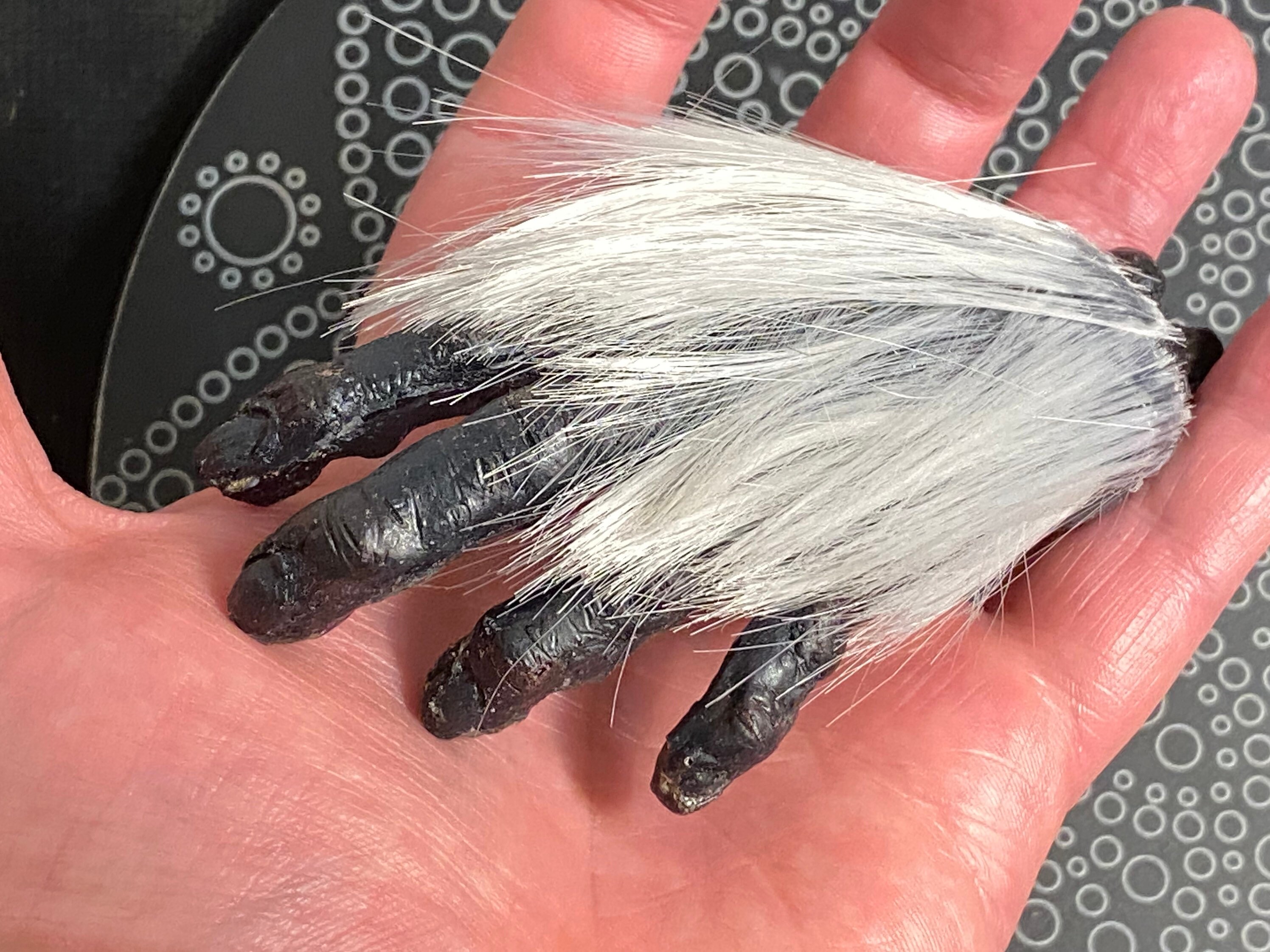 Cursed Monkey Paw Replica Sculpture All Three Wishes Intact / - Etsy