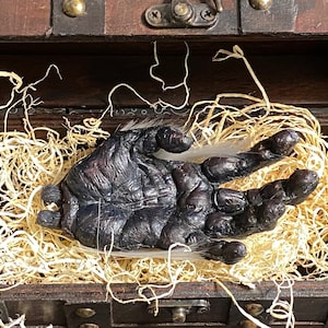 Cursed Monkey Paw Replica Sculpture All Three Wishes Intact / Dark Art ...