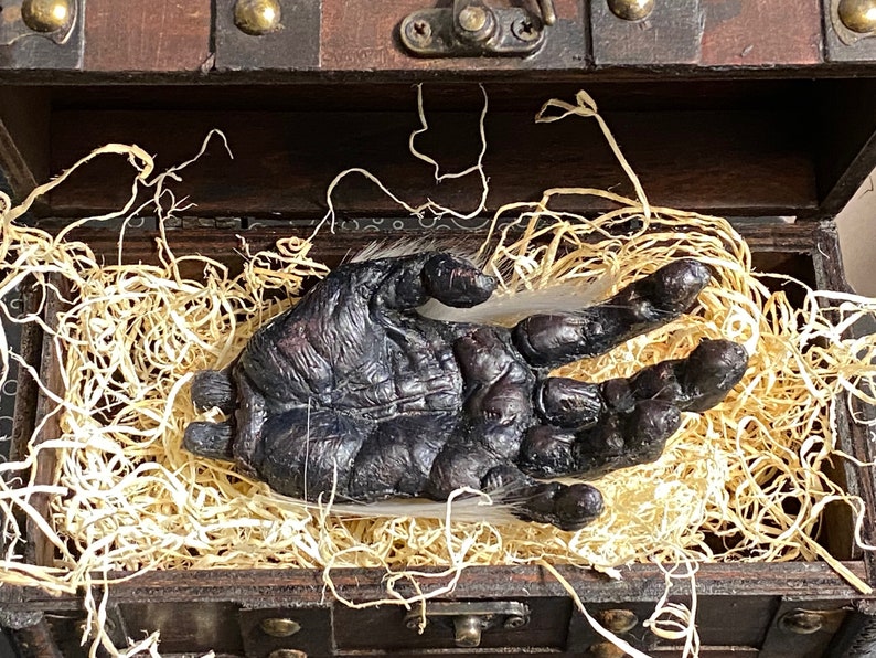 Cursed Monkey Paw Replica Sculpture All Three Wishes Intact / - Etsy