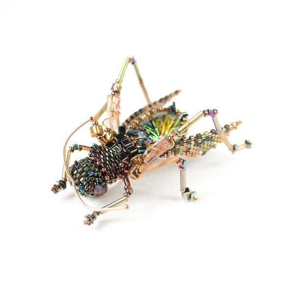 Insect Jewelry - Etsy