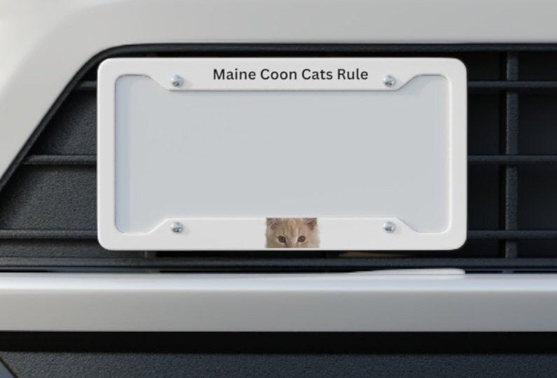 Maine Coon Cat License Plate Frame, Coon Cats Rule Plate Frame, Cat ...
