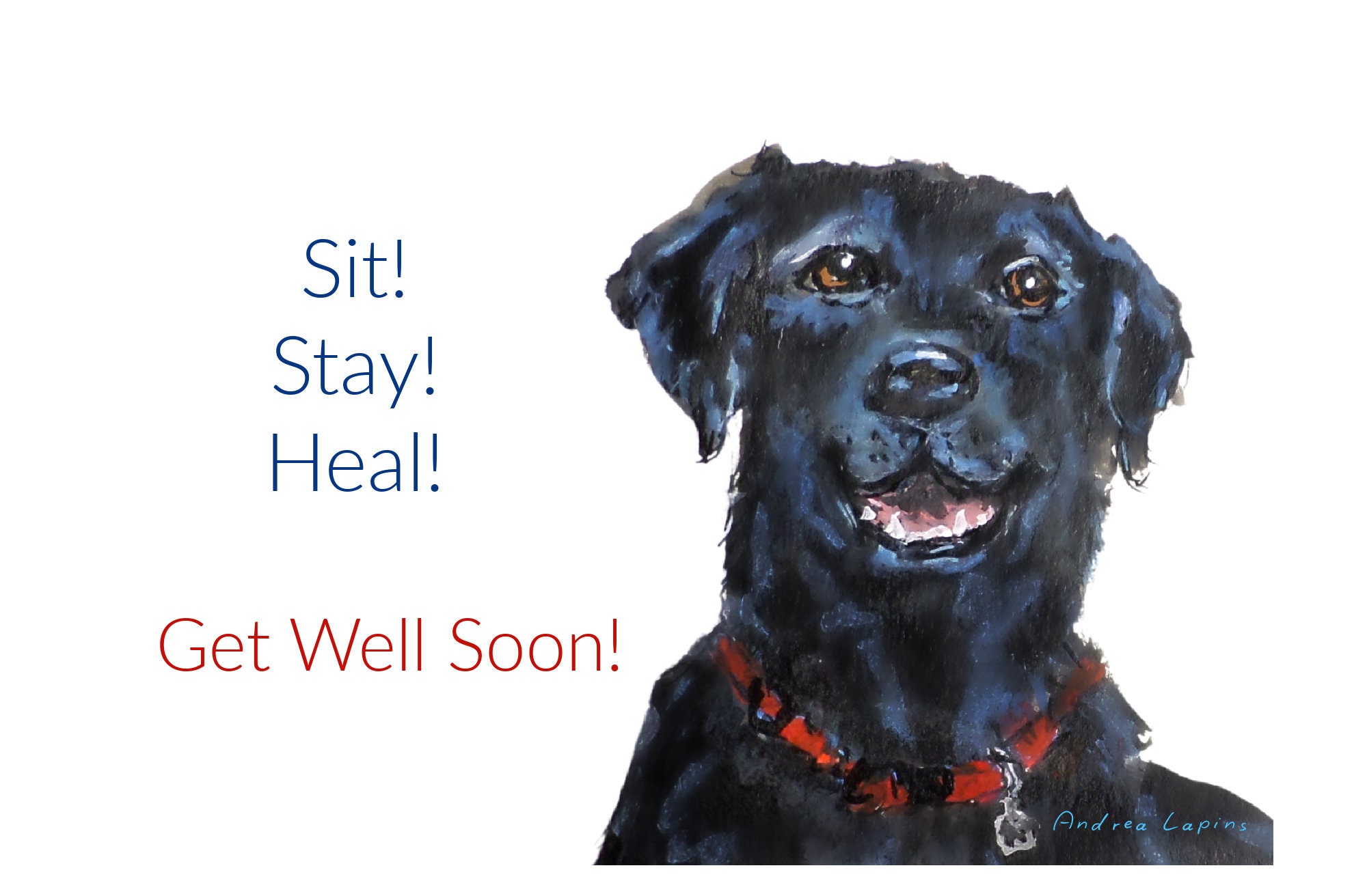 Labrador Retriever Get Well Card, Sit, Stay Heal, Get Well Soon, Best ...