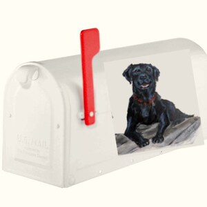 Hand Painted Mailbox, Loon Mailbox, Original Art, Custom Mailbox, Loons ...