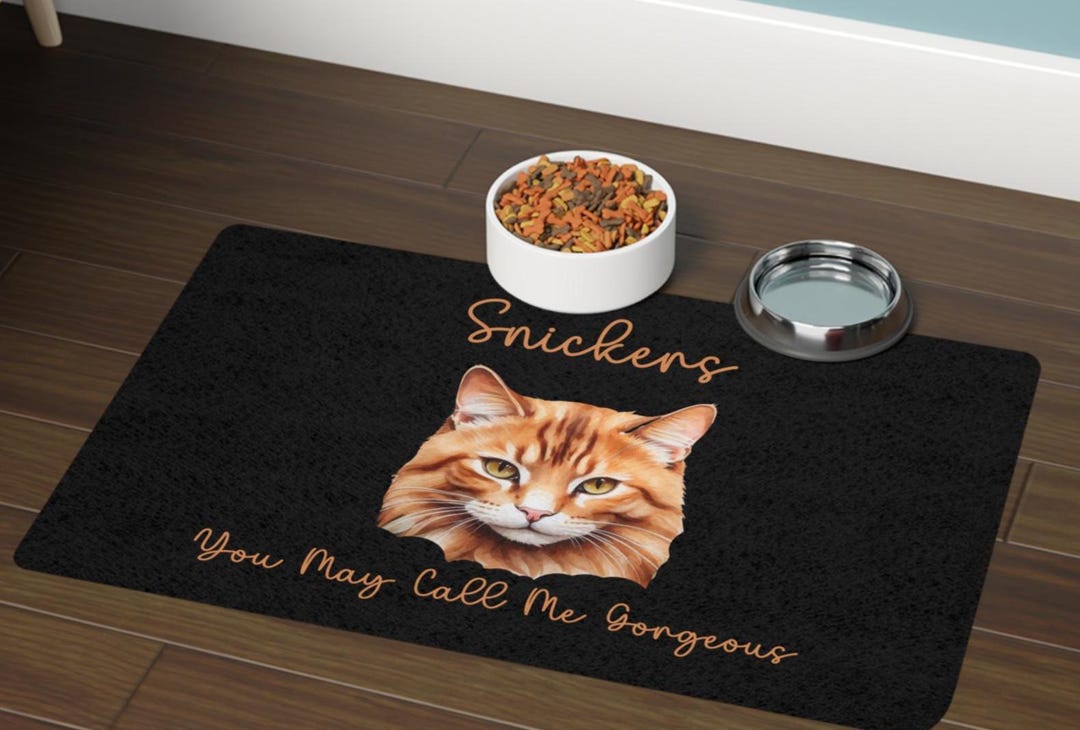 Personalized Orange Tabby or Any Breed Dog Cat Custom Pet Food Mat ...