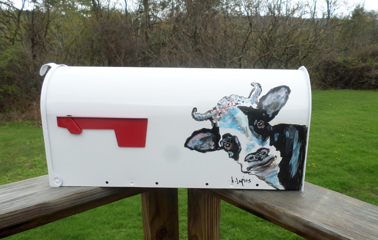 Hand Painted Mailbox, Loon Mailbox, Original Art, Custom Mailbox, Loons ...