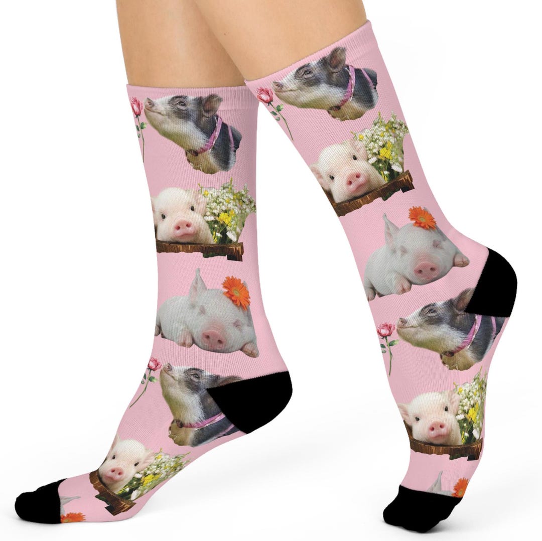 Piggy in Pink Socks, Spring Pig Socks, Gag Gift Birthday, Happy ...