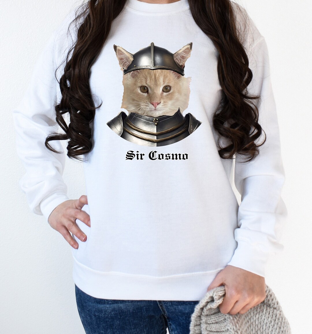 Cat in Armour Sweatshirt, Sir Fluffy Cat Personalized Sweatshirt, Your ...