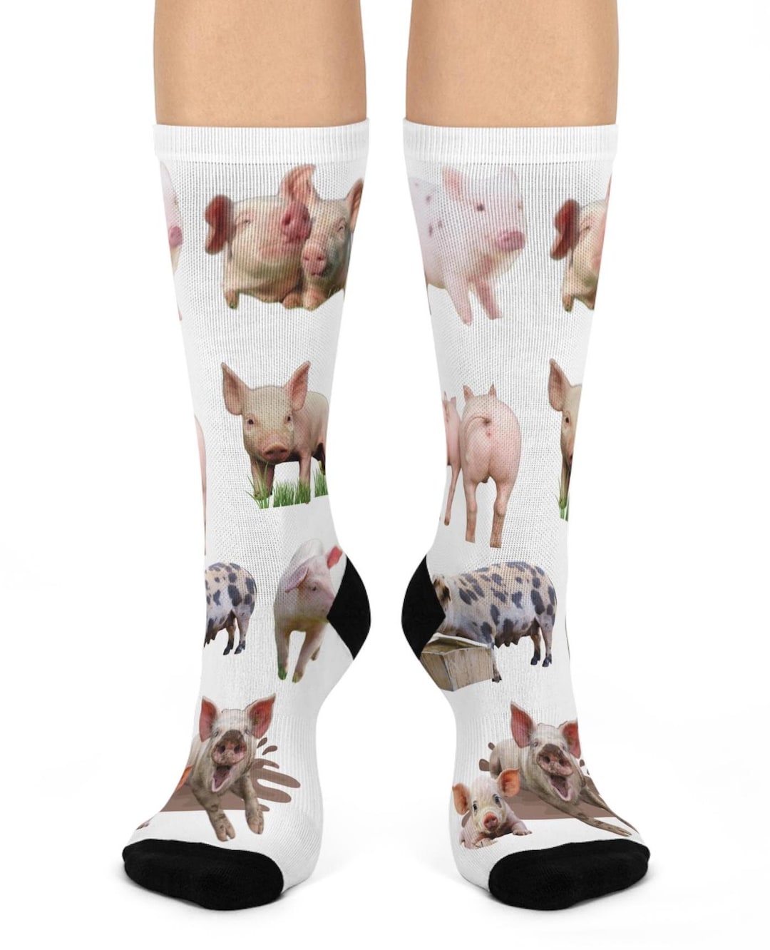 Funny Pigs Socks. Adorable Pigs Socks, Pig Lover Socks, Gift for Pig ...