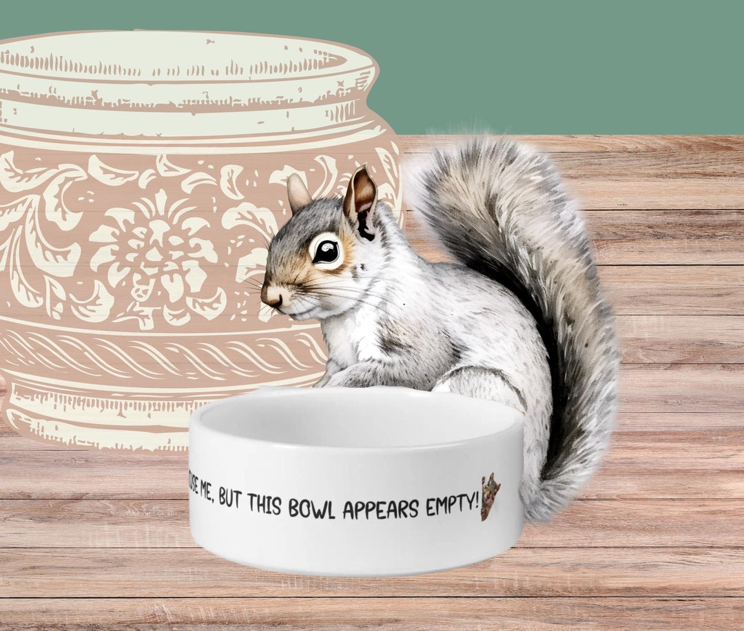 Squirrel Treat Bowl, Ceramic Bowl for Squirrels, Peanuts, Sunflower ...