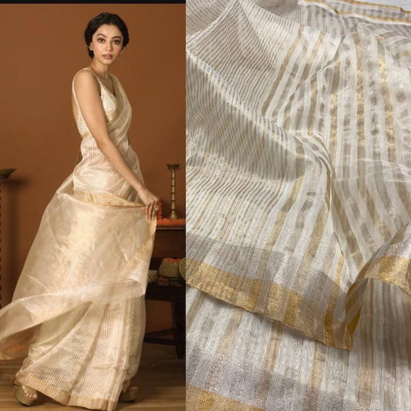 Silver Tissue Saree - Etsy