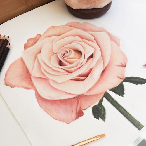 Peach Rose Art Print Mixed Media Painting Floral - Etsy