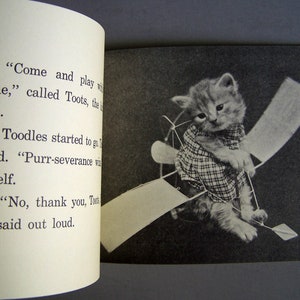 Harry Whittier Frees Animal Photos Book: Toodles and Friends - B ...