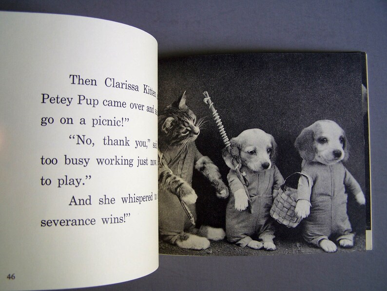 Harry Whittier Frees Animal Photos Book: Toodles and Friends - B ...