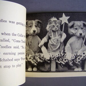 Harry Whittier Frees Animal Photos Book: Toodles and Friends - B ...