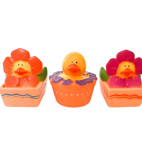 Duck Flower Plant - Etsy