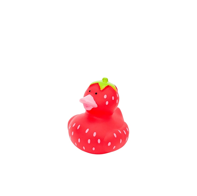 Summertime Fruit Themed Rubber Duck Ducks - Kiwi Strawberry Watermelon ...