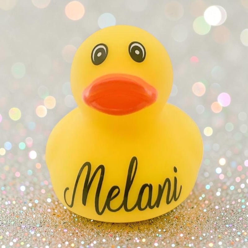 Custom Ducks Mini - Etsy