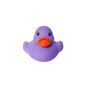 Bright Multicolored Eyelash Rubber Duck Ducks Purple Pink Blue Red ...