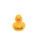 Yellow Food Themed Rubber Duck Ducks Hamburger Taco Hot Dog Fries ...