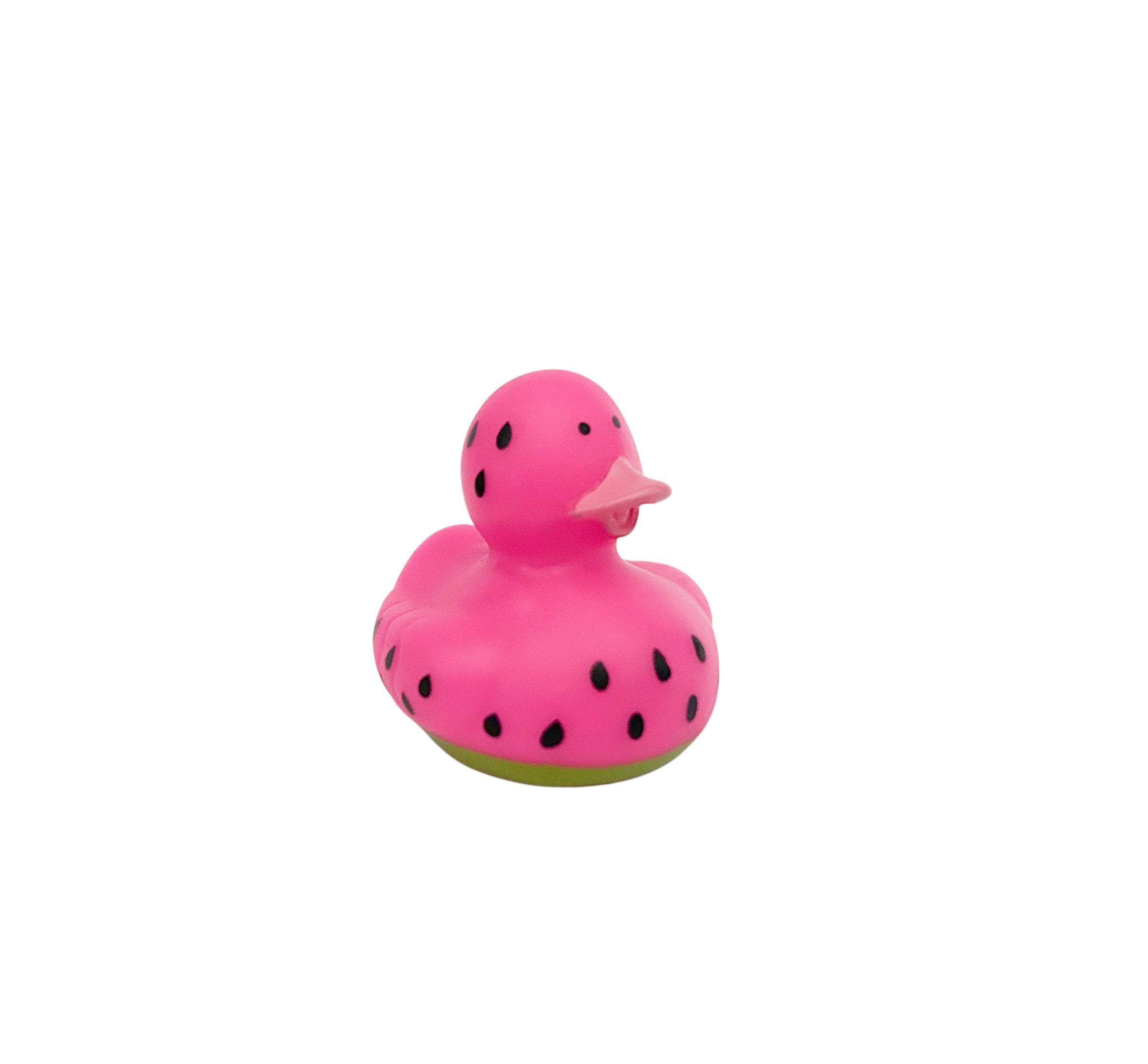 Summertime Fruit Themed Rubber Duck Ducks - Kiwi Strawberry Watermelon ...